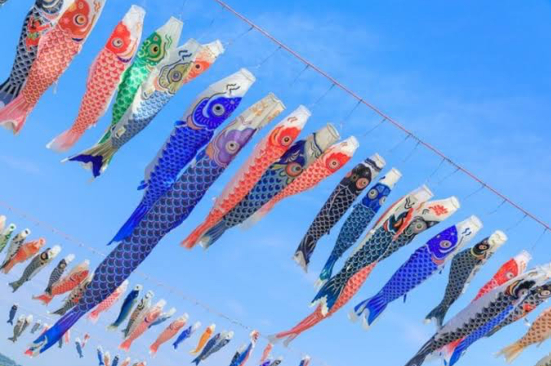 徒然日記20250602/🇯🇵【ToDo2025】今年の目標らしきもの/5月まとめ: 徒然日記/24hirofumi