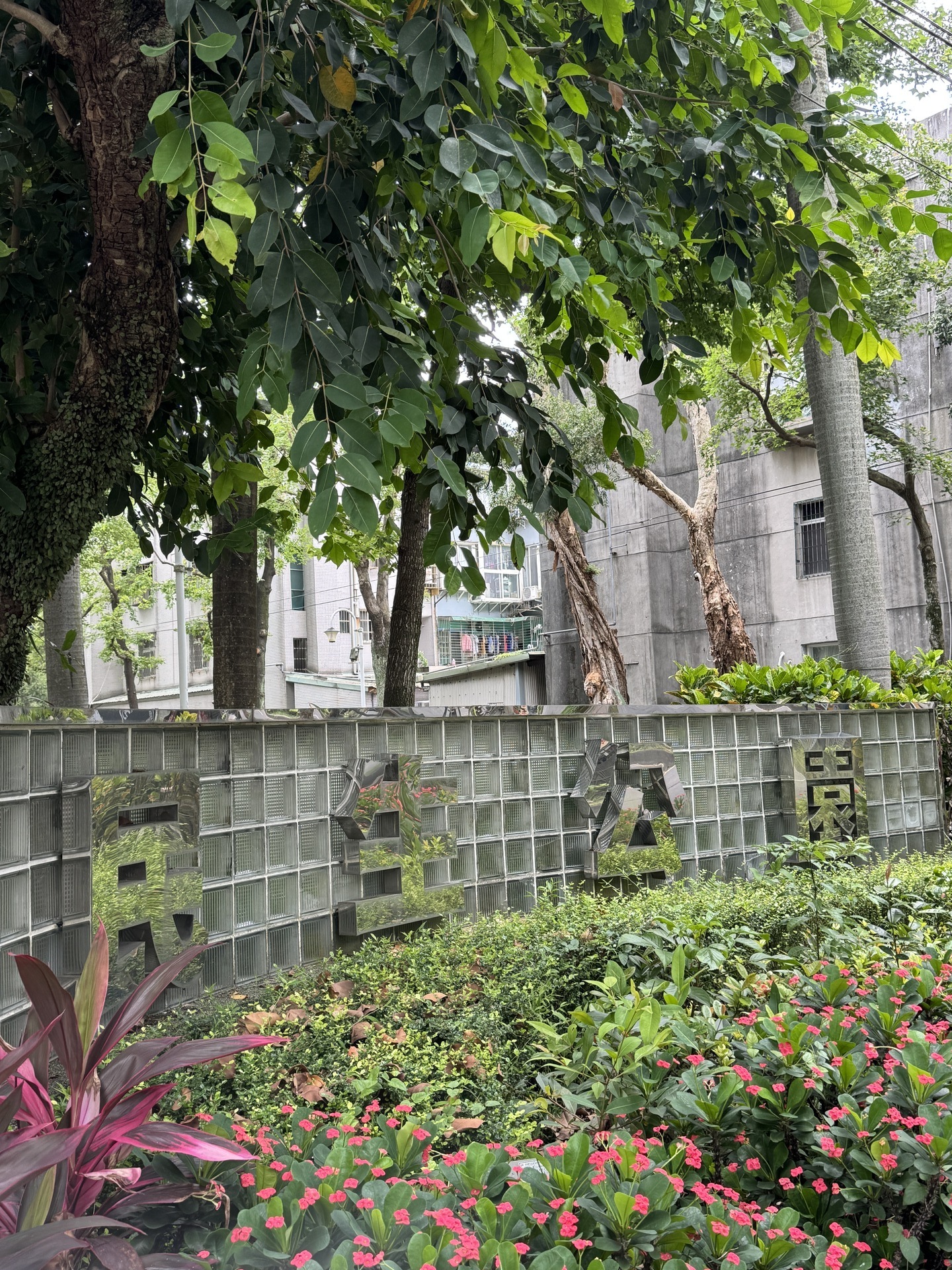 徒然日記20250905/【台湾🇹🇼202506】㊾微熱山丘民生公園/最終日ギリギリでやっとサニーヒルズに行っておみやげを買う: 徒然日記/24hirofumi